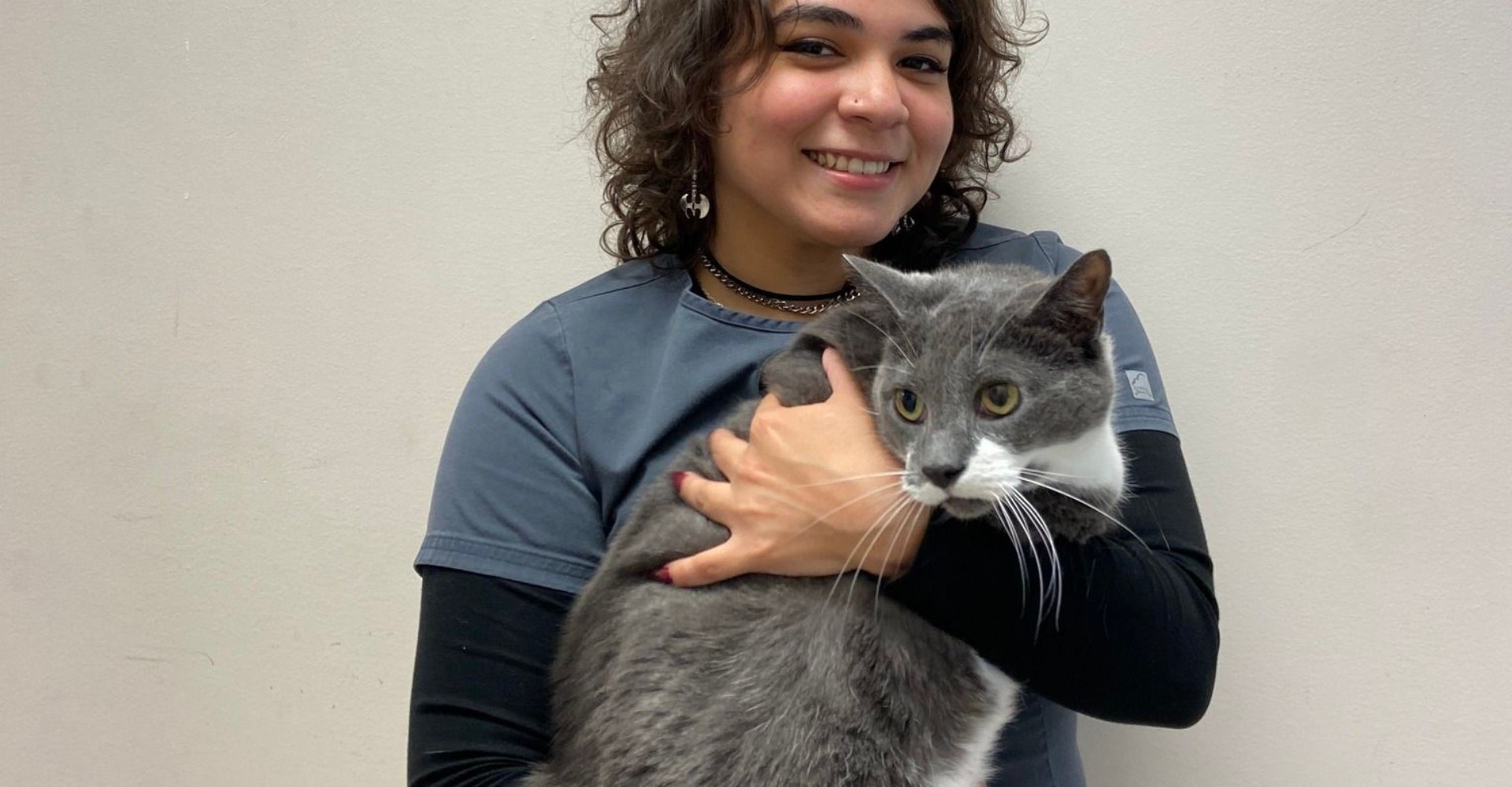 Pet Behavior Counseling In Chicago, IL | North Animal AH